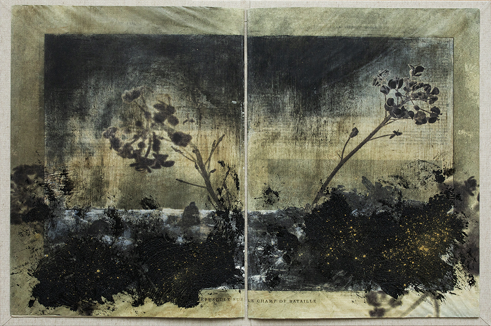 Roquette d'Orient, 2021. © Sophie Zénon - L'oeil de l'info