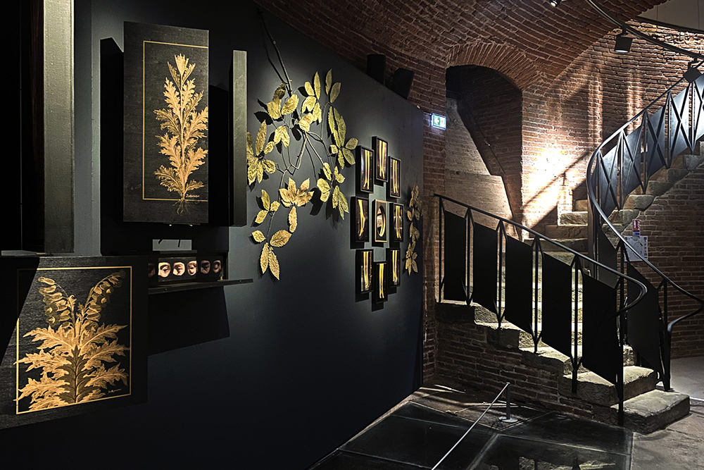 © Sophie Zénon - L'oeil de l'info