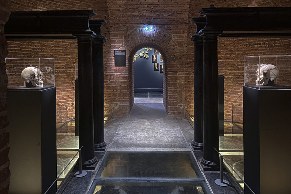 © Sophie Zénon - L'oeil de l'info