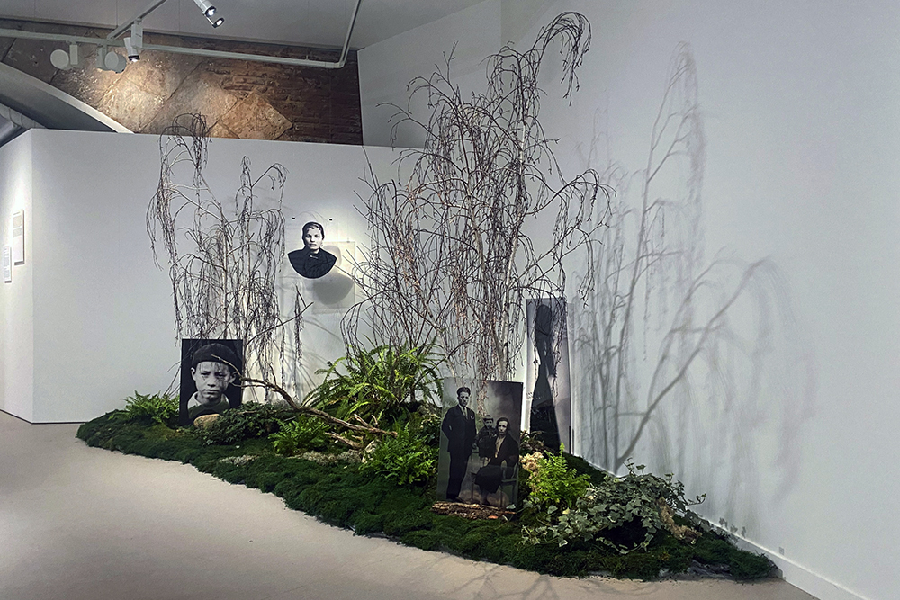 © Sophie Zénon - L'oeil de l'info